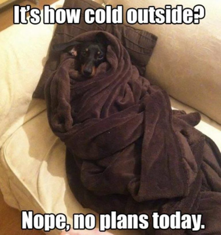 38 Funny Pictures Of Today - OMG Cheese